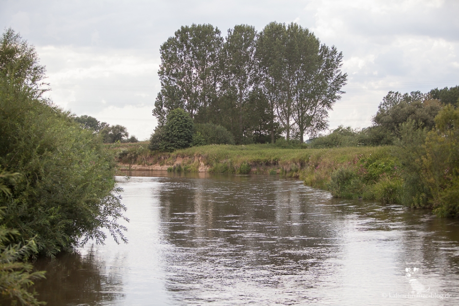 Hundewanderung „Rode Beek“ | Kalte Schnauze – Hundeblog
