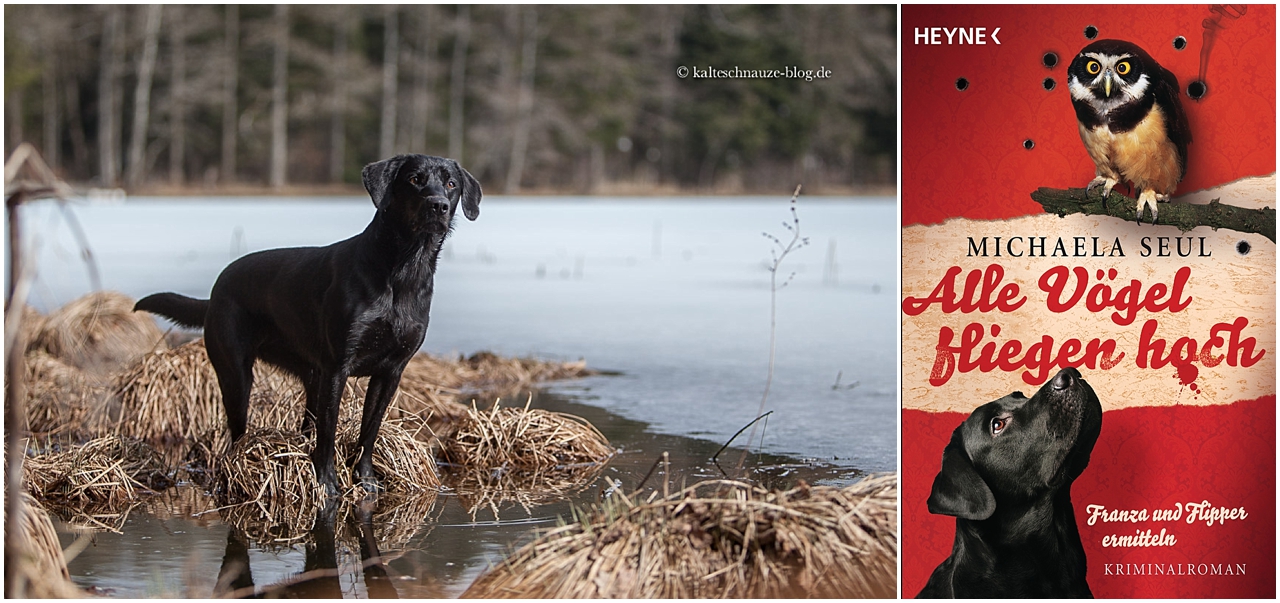 Miss-Lomax-9073 | Kalte Schnauze – Hundeblog